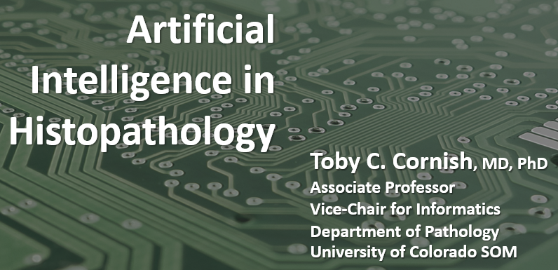 Artificial Intelligence in Histopathology | tobycornish.com